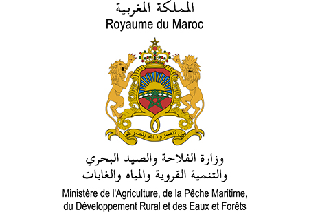 Export Morocco | Products and services to import from Morocco